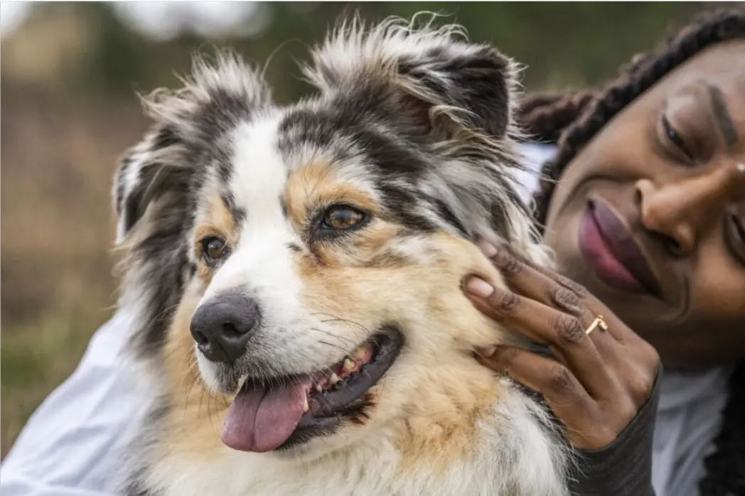 The benefits of cats and dogs on human health | Royal Canin Foundation